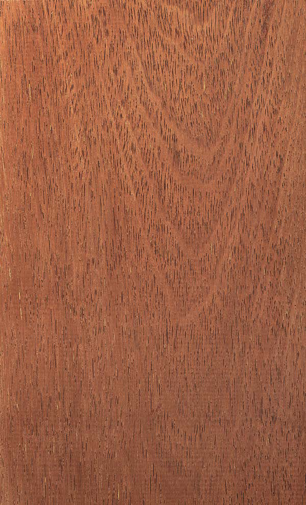 Merbau - Pine Horizon